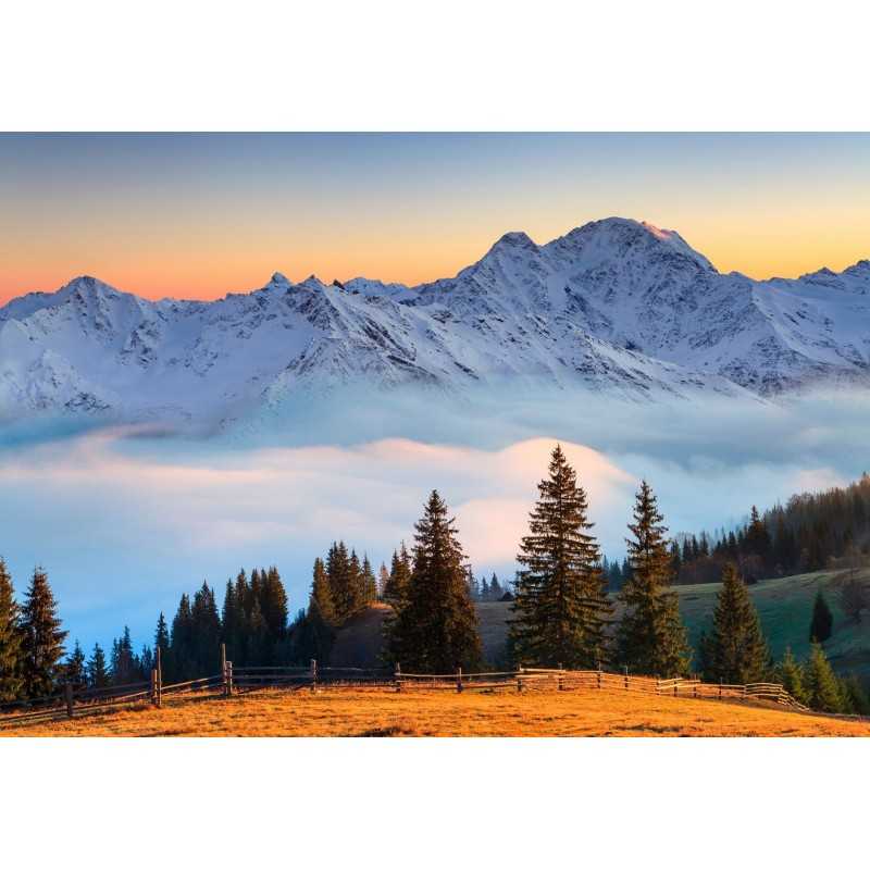 POSTER MURALE ET PHOTO MURALE 3D PAS CHER EN TUNISIE VENTE ET ACHAT ...