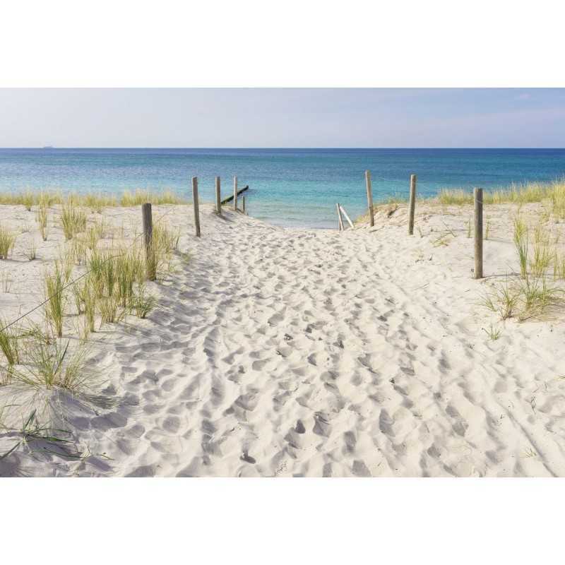 VENTE / ACHAT DE POSTER ET PHOTO MURAL PAS CHER EN TUNISIE