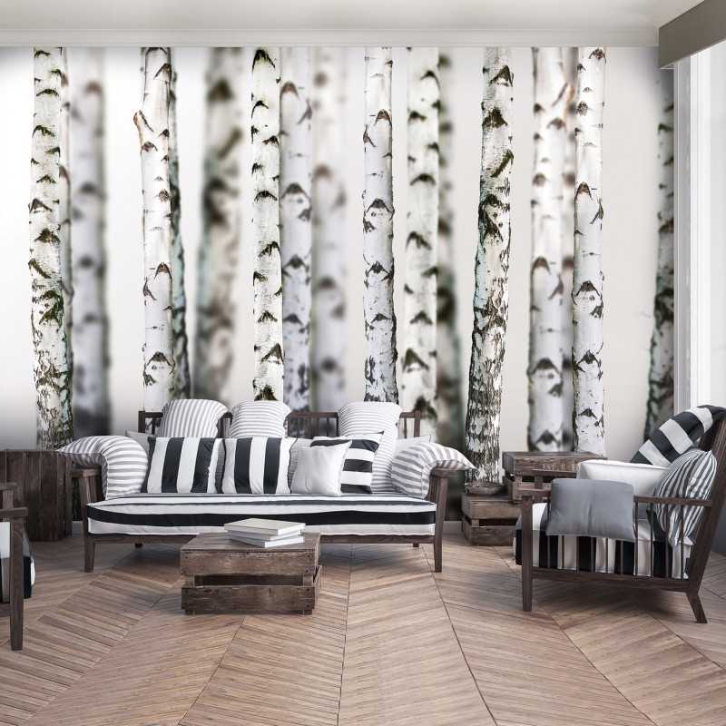 VENTE / ACHAT DE POSTER ET PHOTO MURAL PAS CHER EN TUNISIE