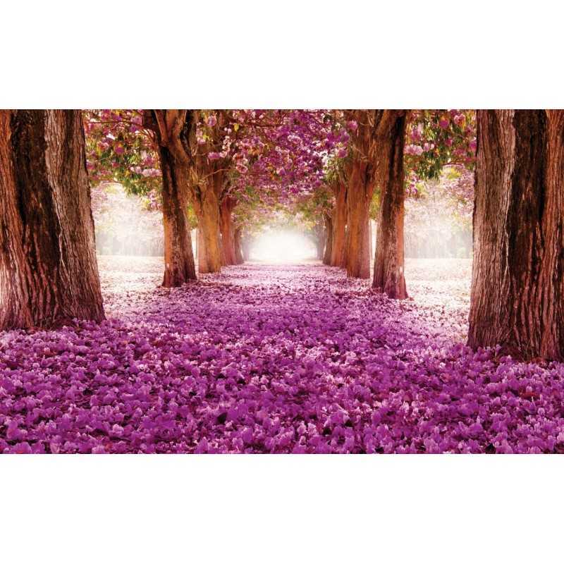 VENTE / ACHAT DE POSTER ET PHOTO MURAL PAS CHER EN TUNISIE