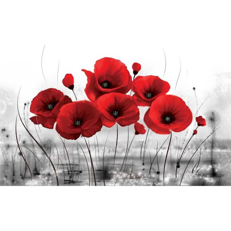 VENTE / ACHAT DE POSTER ET PHOTO MURAL PAS CHER EN TUNISIE