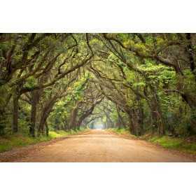 PHOTO MURAL POSTER MURAL PERSONNALISE SUR MESURE PAS CHER EN TUNISIE